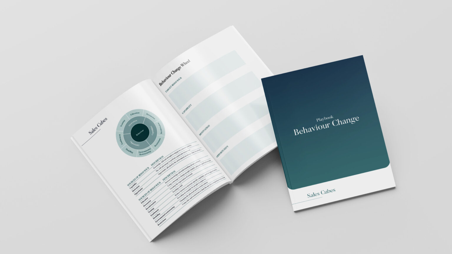The Behaviour Change Wheel - Sales Cubes